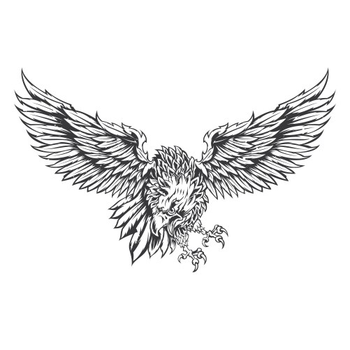 Eagle Vector Images (over 78,000)
