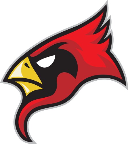 Cardinal Vector Images (over 5,000)