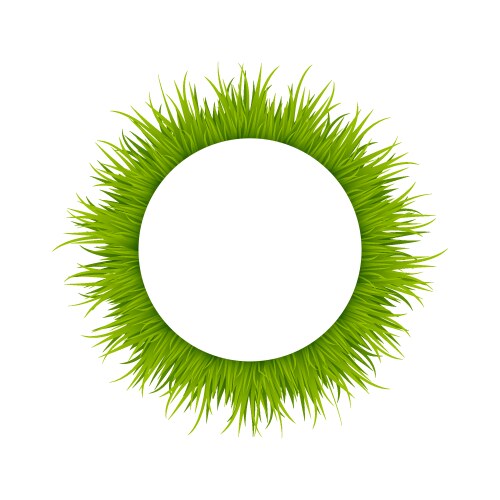 Green grass frame Royalty Free Vector Image - VectorStock