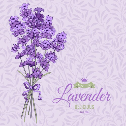 Lavender background Royalty Free Vector Image - VectorStock