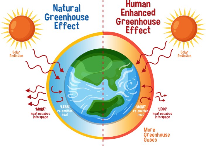 Diagram showing the greenhouse effect Royalty Free Vector