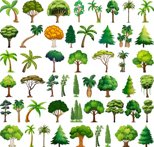 Collection of tropical trees palms and other Vector Image