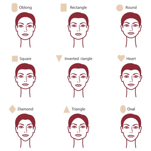 Female face shapes Royalty Free Vector Image - VectorStock