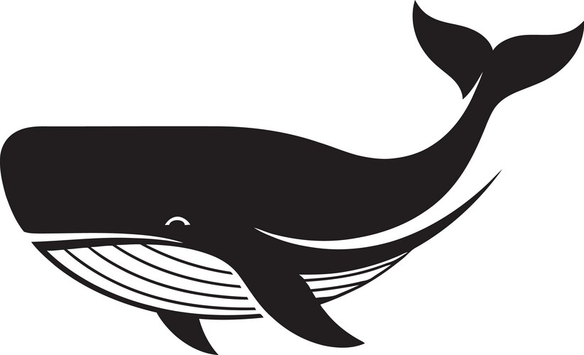 Sperm Whale Silhouette – Royalty-Free Vector | VectorStock