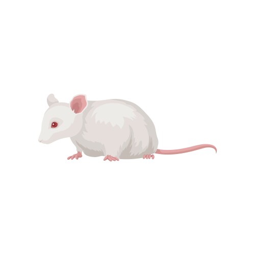 Rodent Vector Images (over 42,000)