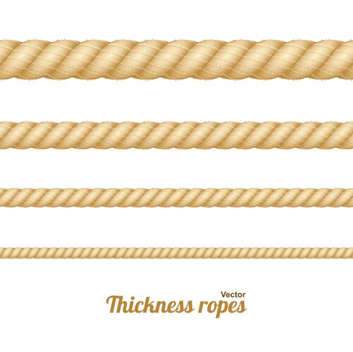 Different size and color rope Royalty Free Vector Image