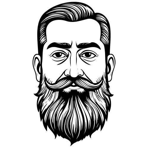 Black beard of hand drawn line transparent Vector Image