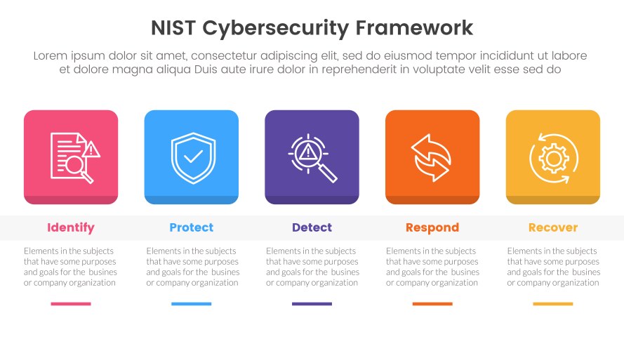 Nist cybersecurity framework infographic 5 point Vector Image
