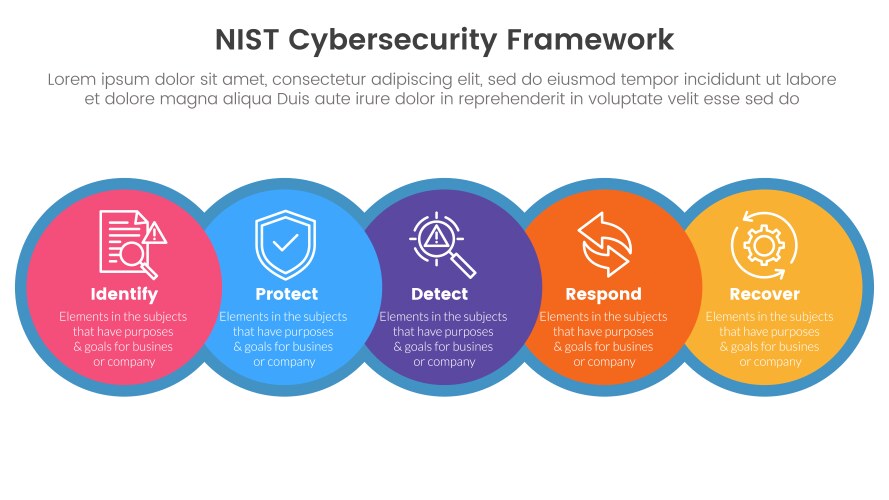 Nist cybersecurity framework infographic 5 point Vector Image