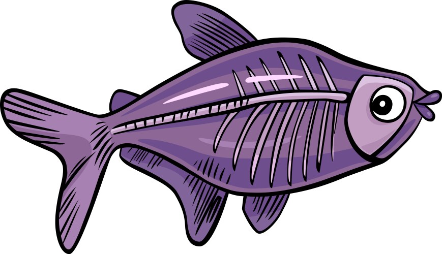 X-Ray Fish Vector Images (over 280)