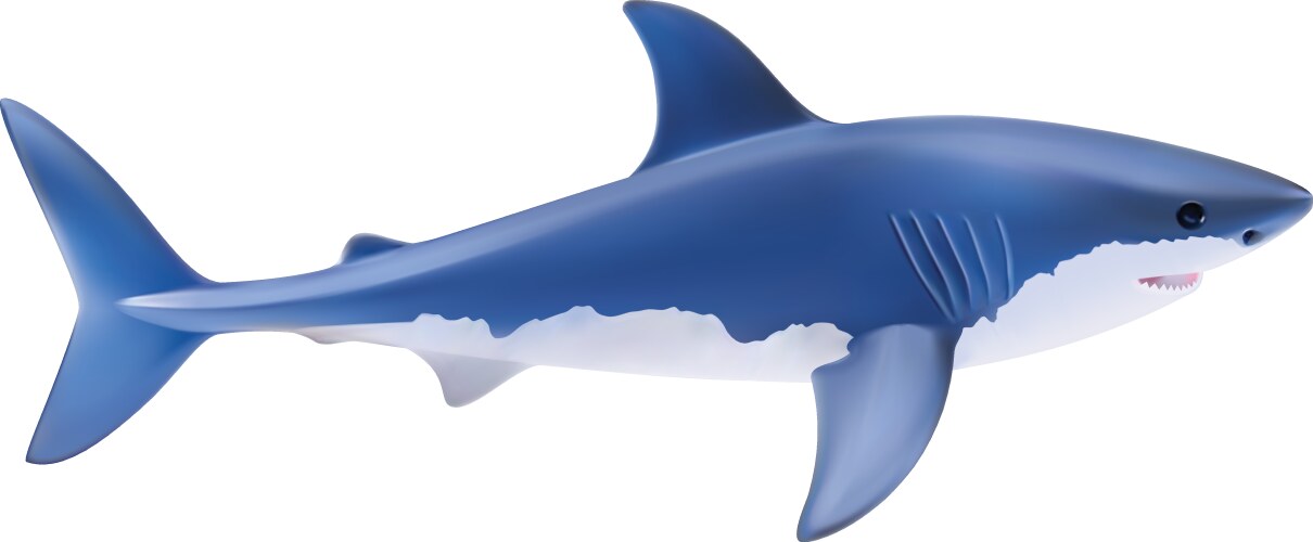 Cute shark cartoon character Royalty Free Vector Image