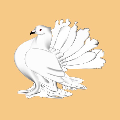 White pigeon design Royalty Free Vector Image - VectorStock