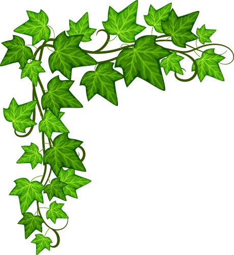 Corner Leaves Vector Images (over 3,900)