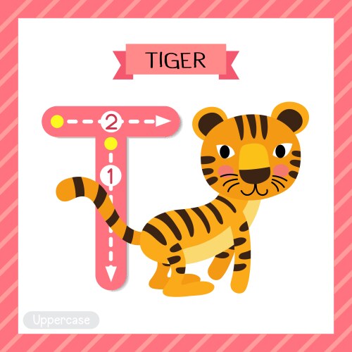 Tiger Flashcard Vector Images (74)