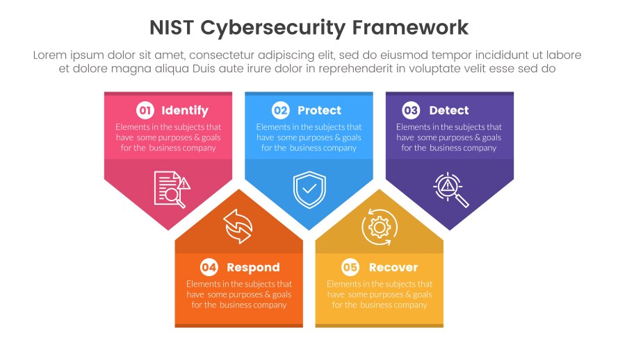 Nist cybersecurity framework infographic 5 point Vector Image