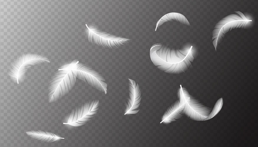 White flying feather Royalty Free Vector Image