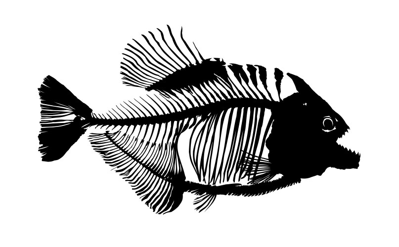 Black skeleton fish icon scary fishbone anatomy Vector Image