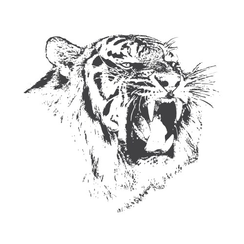 Growling Vector Images (over 7,900)