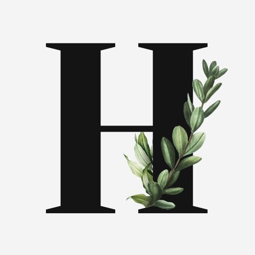 Black and White Letter H Vector Images (over 11,000)