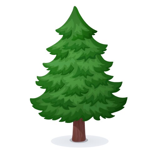 Pine tree in cartoon style isolated on white Vector Image