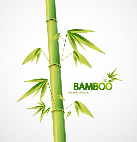 Stem Vector Images (over 140,000)