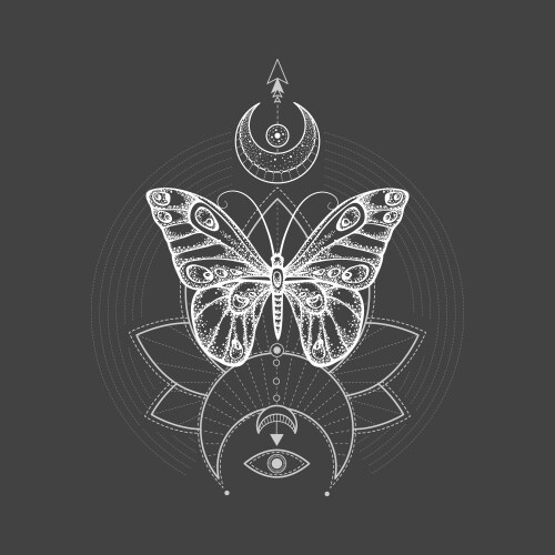 Half Butterfly Vector Images (over 490)