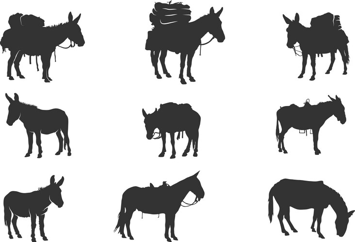 Mule Clipart Vector Images (over 210)