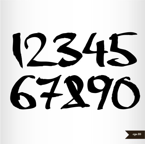 Set of calligraphic acrylic or ink numbers Vector Image