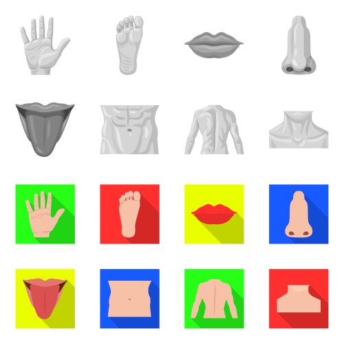 Human and part icon Royalty Free Vector Image - VectorStock