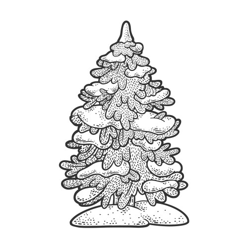 Sketch of christmas tree Royalty Free Vector Image