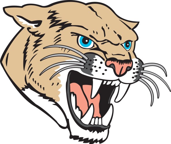 Cougar Mascot Vector Images (over 1,900)