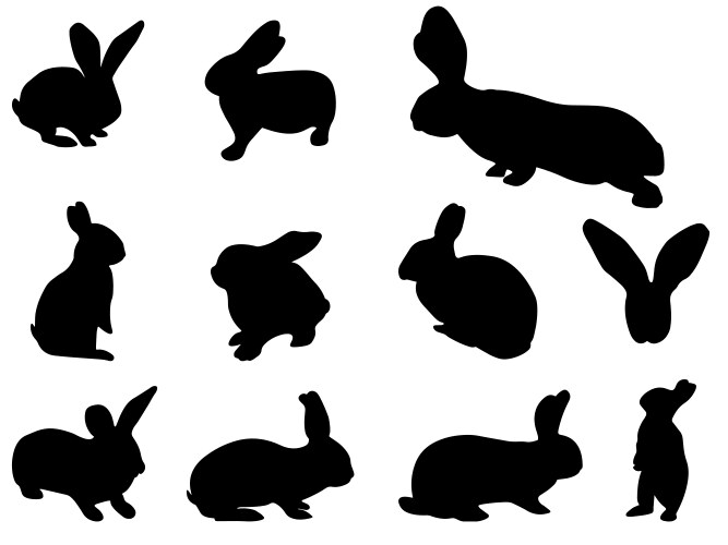 Bunny Vector Images (over 150,000)