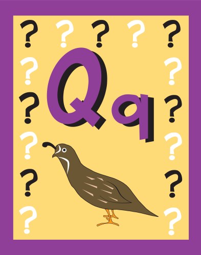 Letter Q Flash Card Vector Images (90)