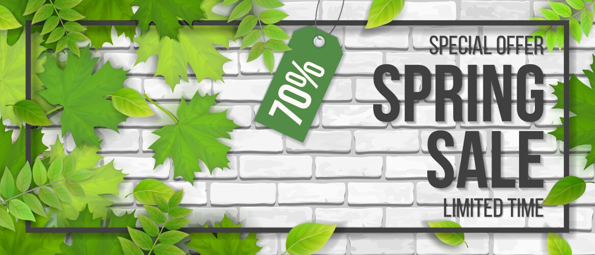 Spring sale frame with chamomiles and branch Vector Image