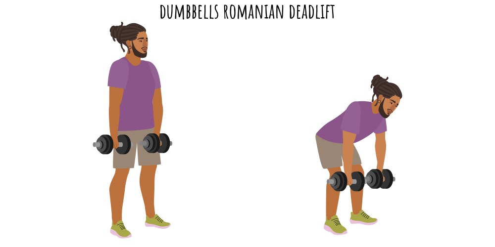 Romanian Deadlift Vector Images (16)