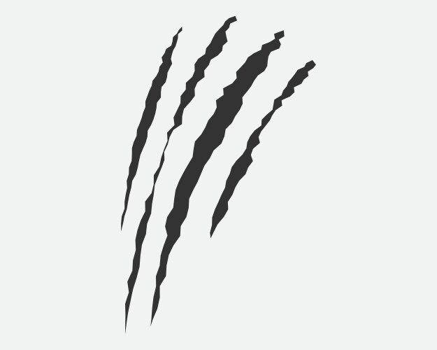 Claws scratches animal monster mark design Vector Image
