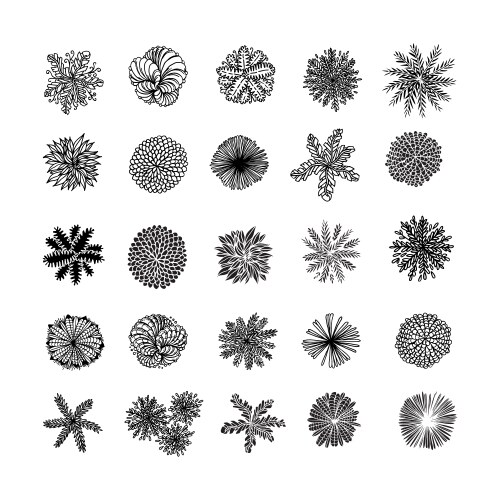 Trees top view for landscape Royalty Free Vector Image