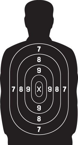 Target with bullet hole Royalty Free Vector Image