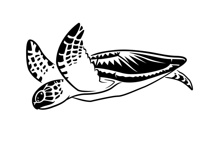 Skeleton of a prehistoric turtle isolated Vector Image