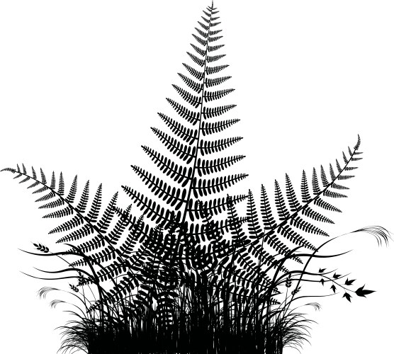 Made in new zealand silver fern logo icon Vector Image
