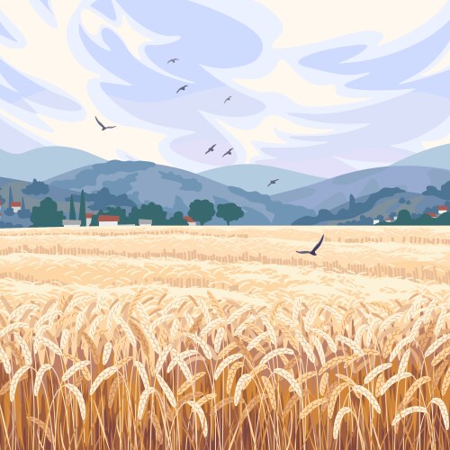 Wheat Field Vector Images (over 28,000)