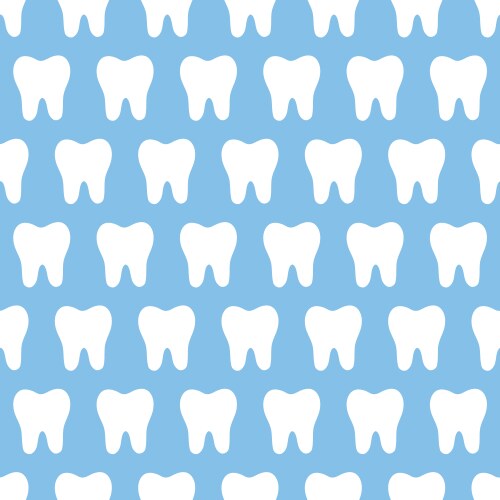 Orthodontist human tooth anatomy Royalty Free Vector Image