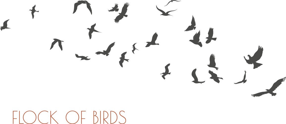 Birds Vector Images (over 630,000)