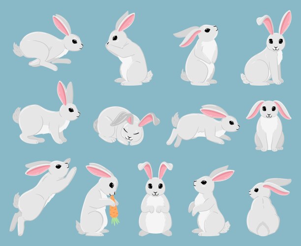 Images Of Cute Cartoon Rabbit - Infoupdate.org