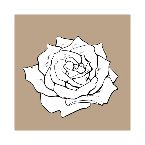 Deep pink rose top view isolated sketch Royalty Free Vector
