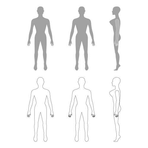 Body Outline Front Back Vector Images (over 10,000)