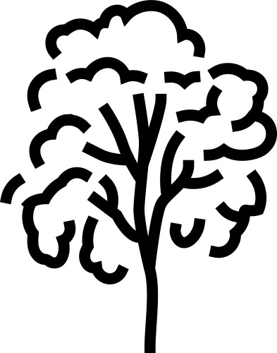 Padauk Vector Images (23)