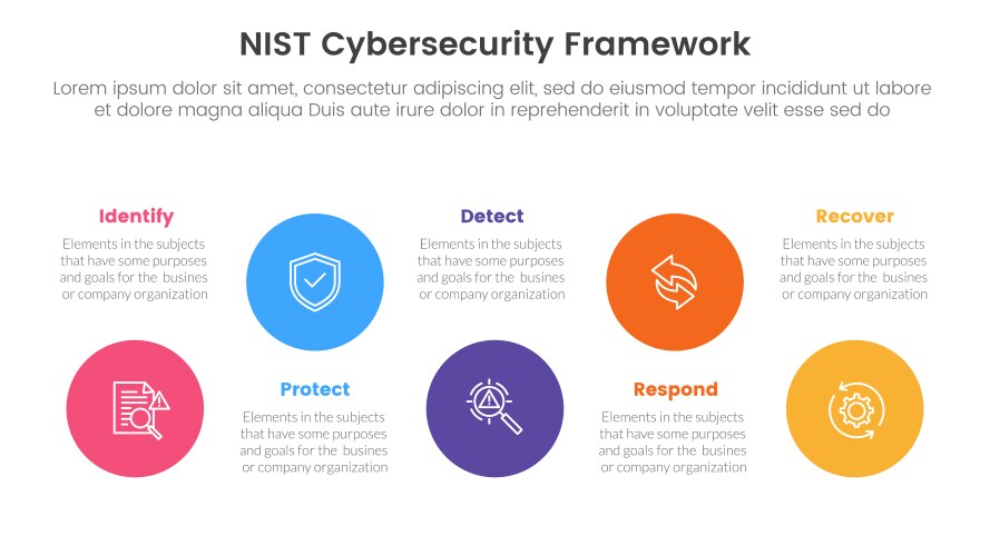 Nist cybersecurity framework infographic 5 point Vector Image