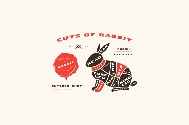 Rabbit cuts diagram Royalty Free Vector Image - VectorStock