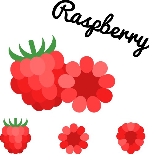 Cartoon raspberry isolated Royalty Free Vector Image